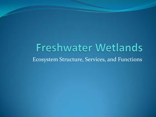 Freshwater Wetlands | PPTX