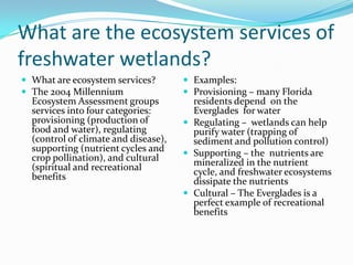 Freshwater Wetlands | PPTX
