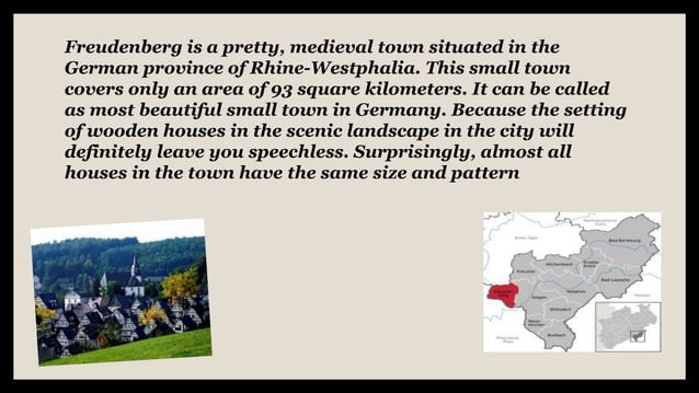 Freudenberg | PPT