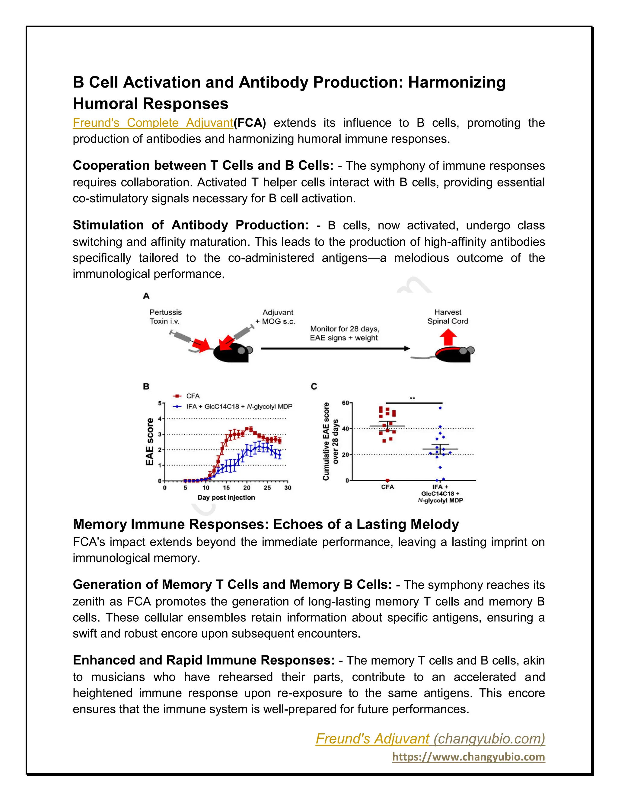Freund's Complete Adjuvant in Research and its Path to Clinical ...
