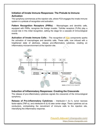 Freund's Complete Adjuvant in Research and its Path to Clinical ...