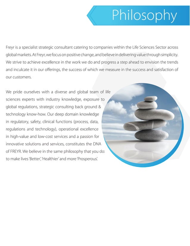 Freyr Corporate Identity Brochure | PDF