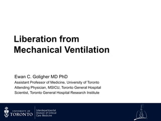 fri-Liberation_from_MV.pdf