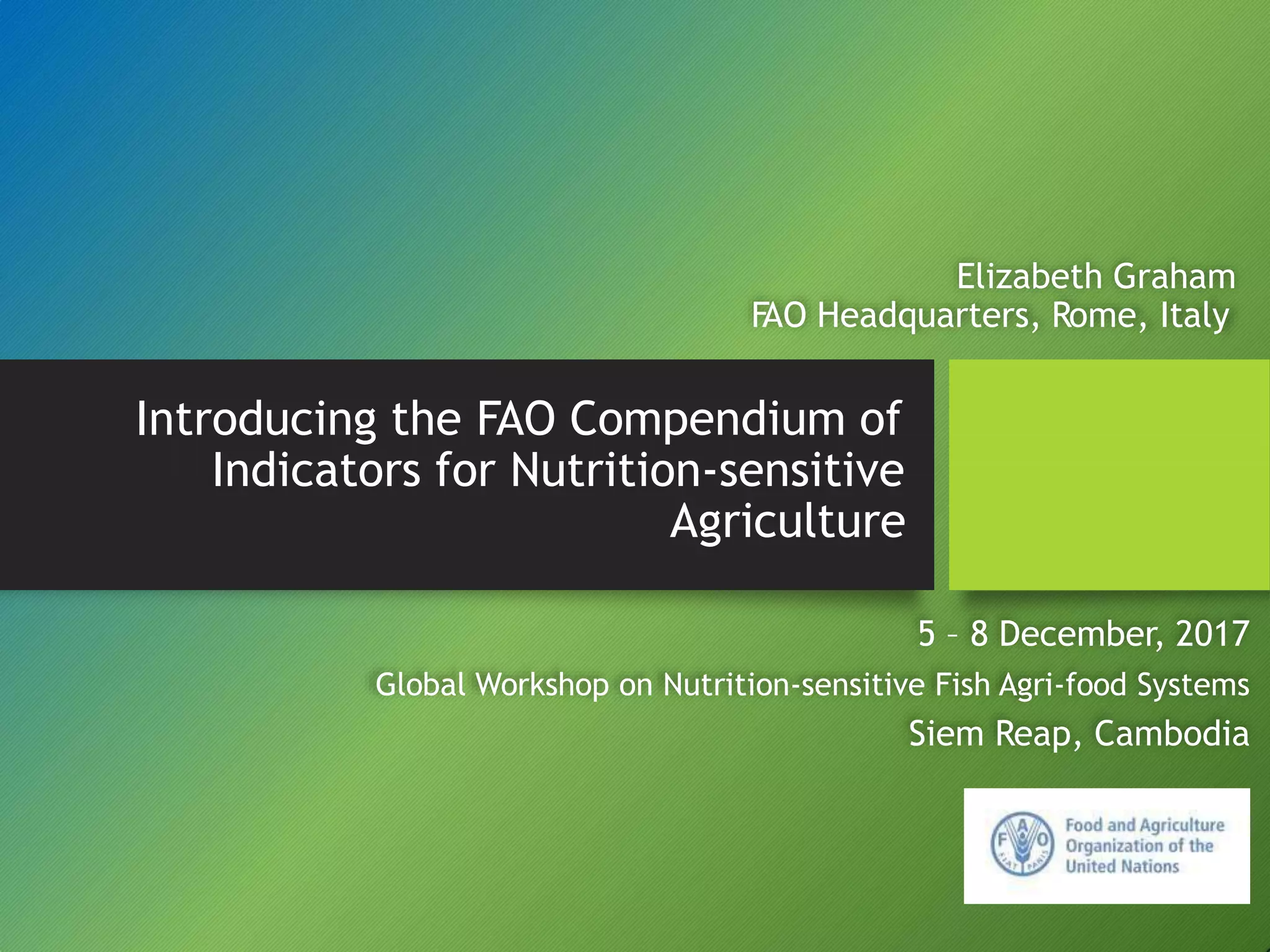 Introducing the FAO Compendium of Indicators for Nutrition-sensitive ...