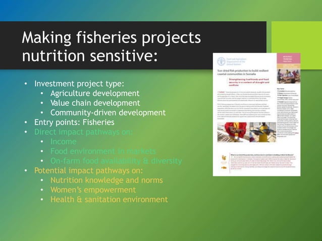Introducing the FAO Compendium of Indicators for Nutrition-sensitive ...