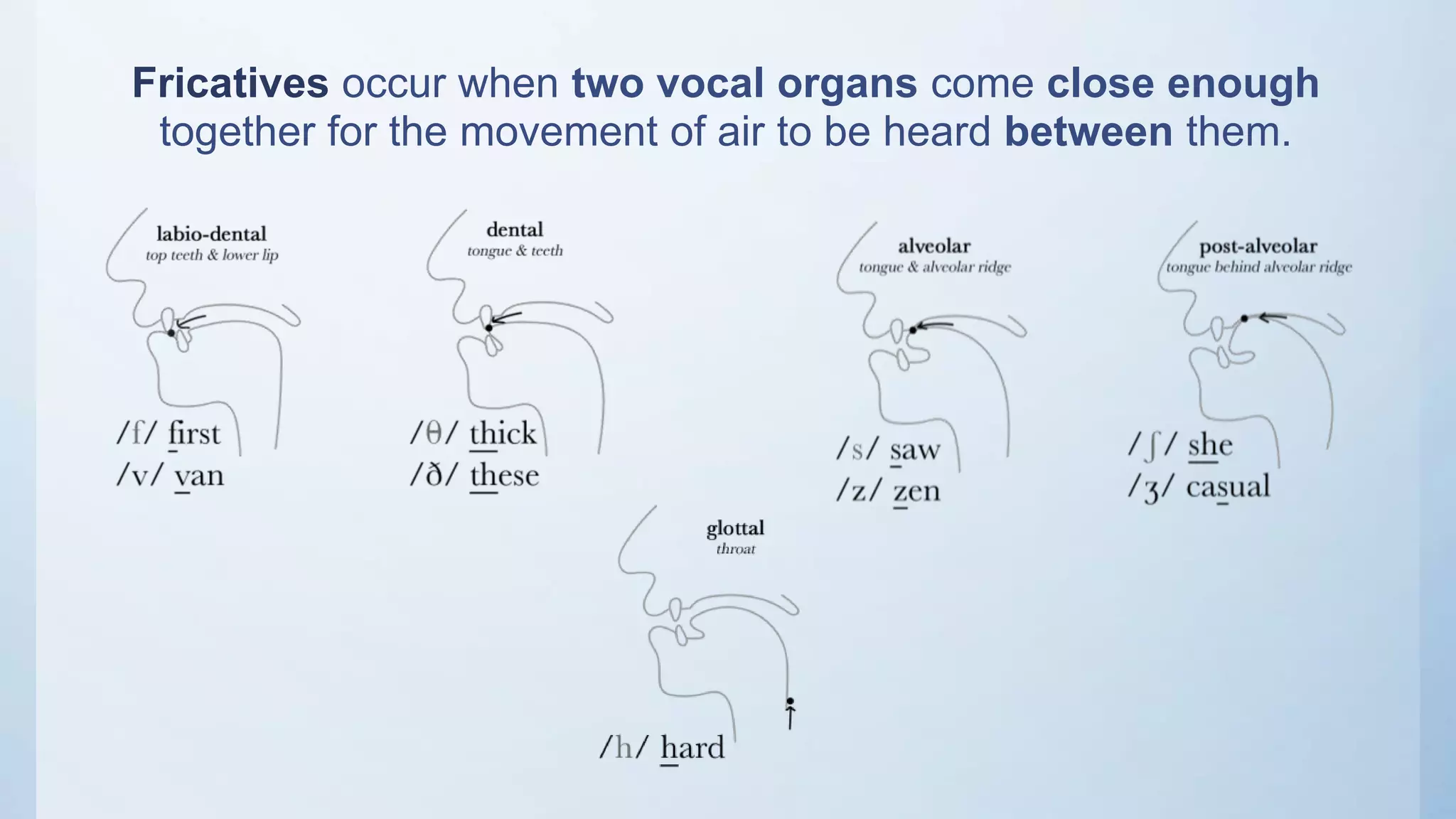 Fricative Consonants Pptx Dental Health Diseases And Conditions