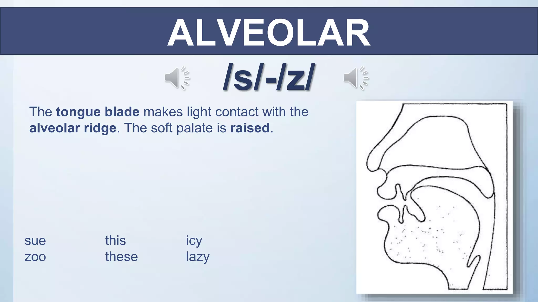 Fricative Consonants Pptx Dental Health Diseases And Conditions