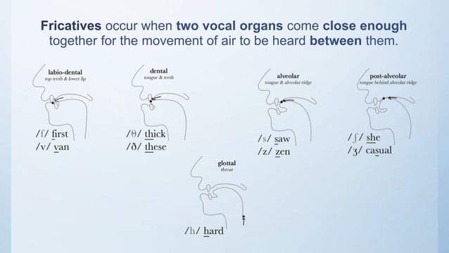 Fricative Consonants Pptx Dental Health Diseases And Conditions
