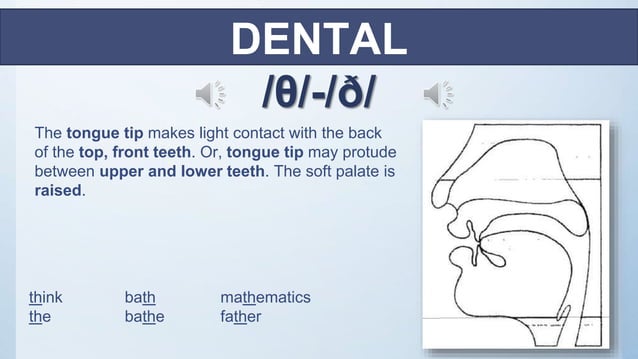 Fricative Consonants Pptx Dental Health Diseases And Conditions