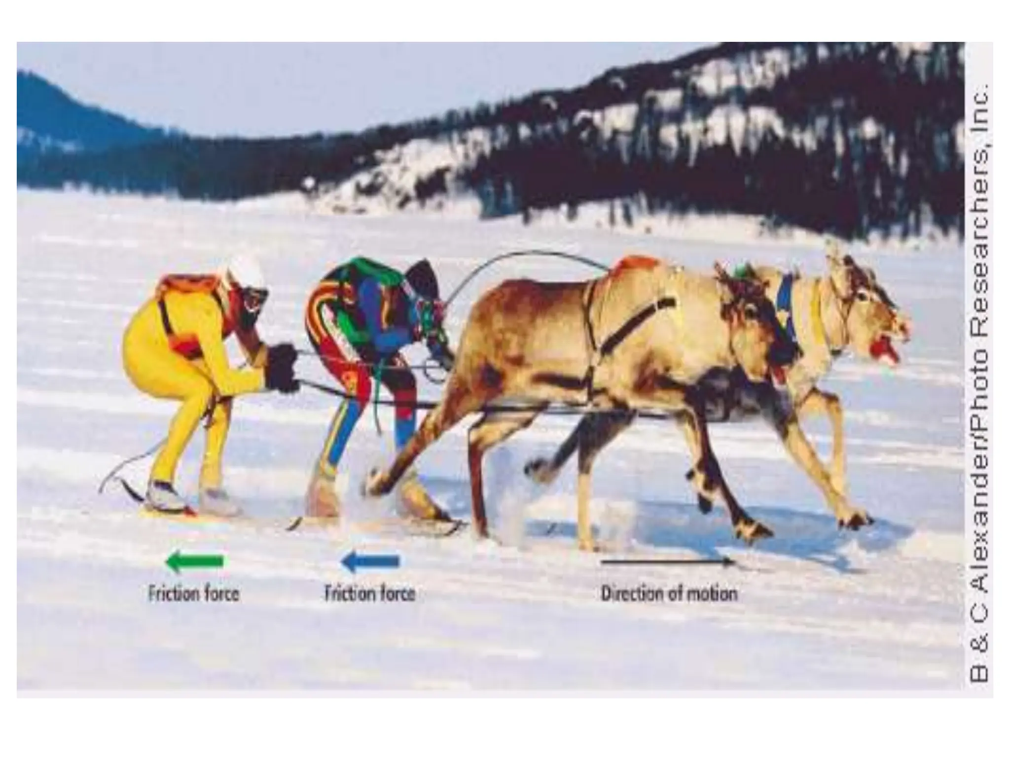 FRICTION IN MACHINE ELEMENTS-SCREW AND NUT.pptx