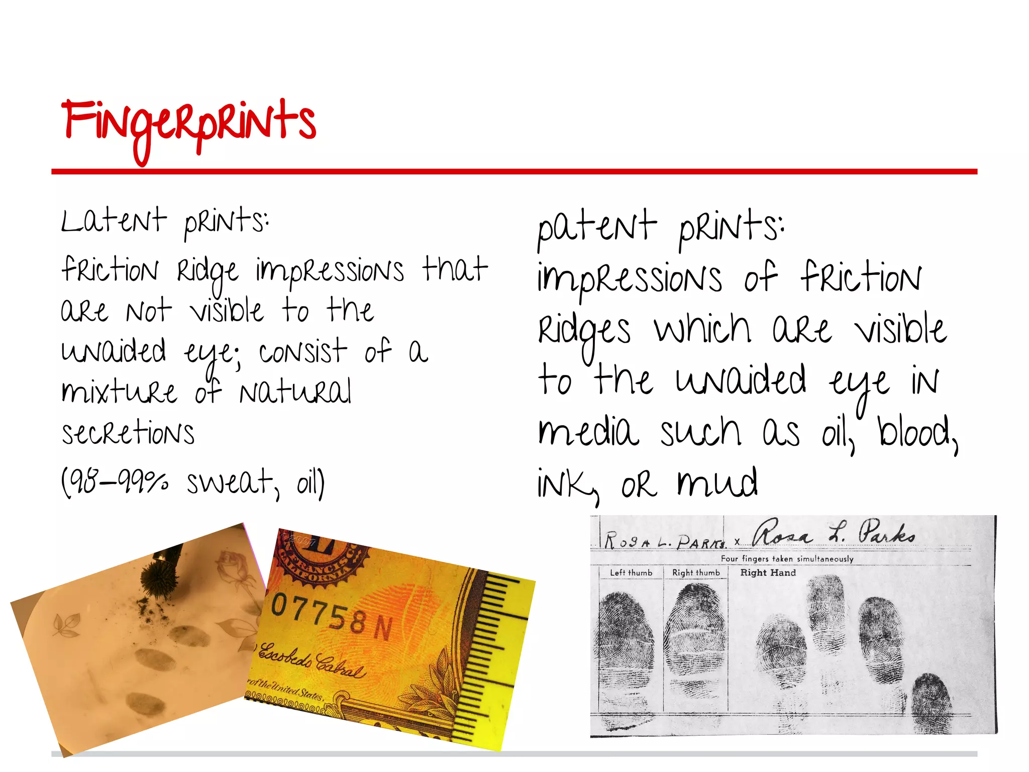 Friction ridge analysis | PDF