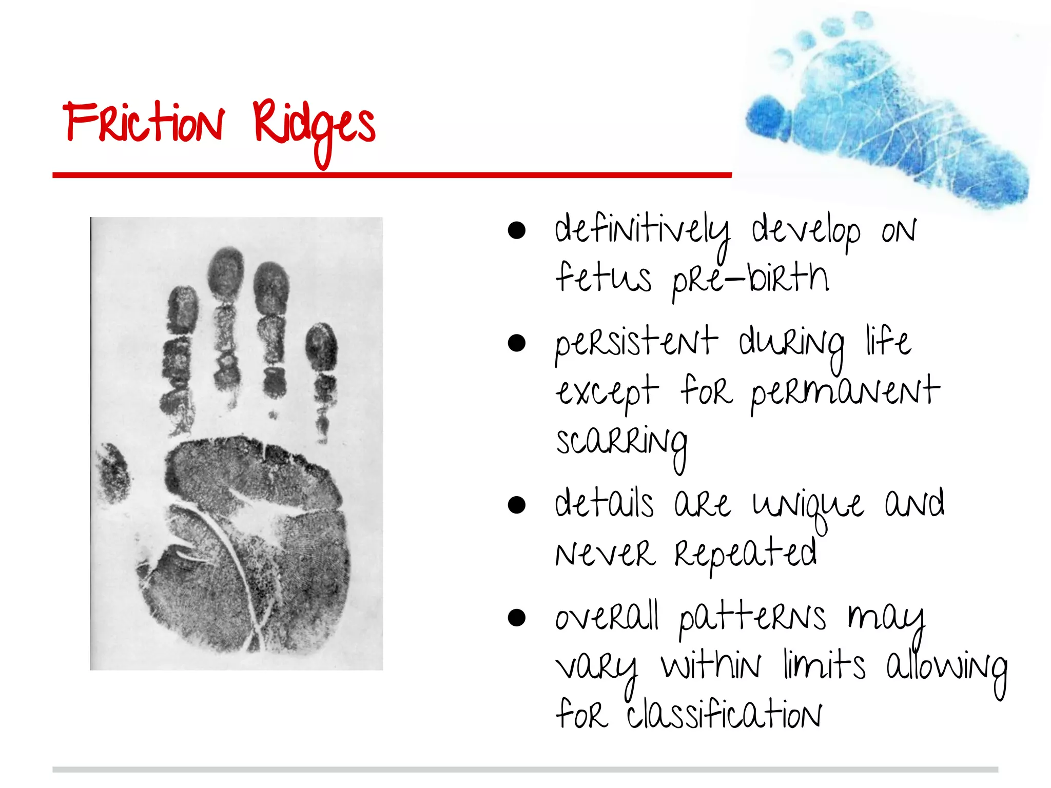 Friction ridge analysis | PDF