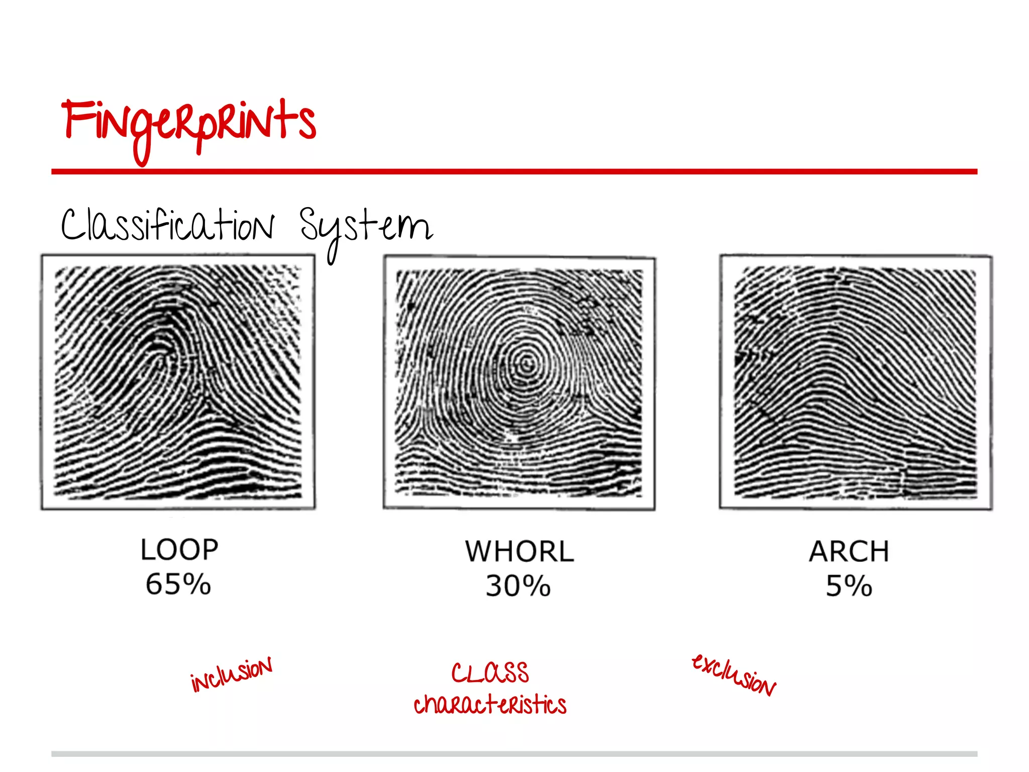 Friction ridge analysis | PDF
