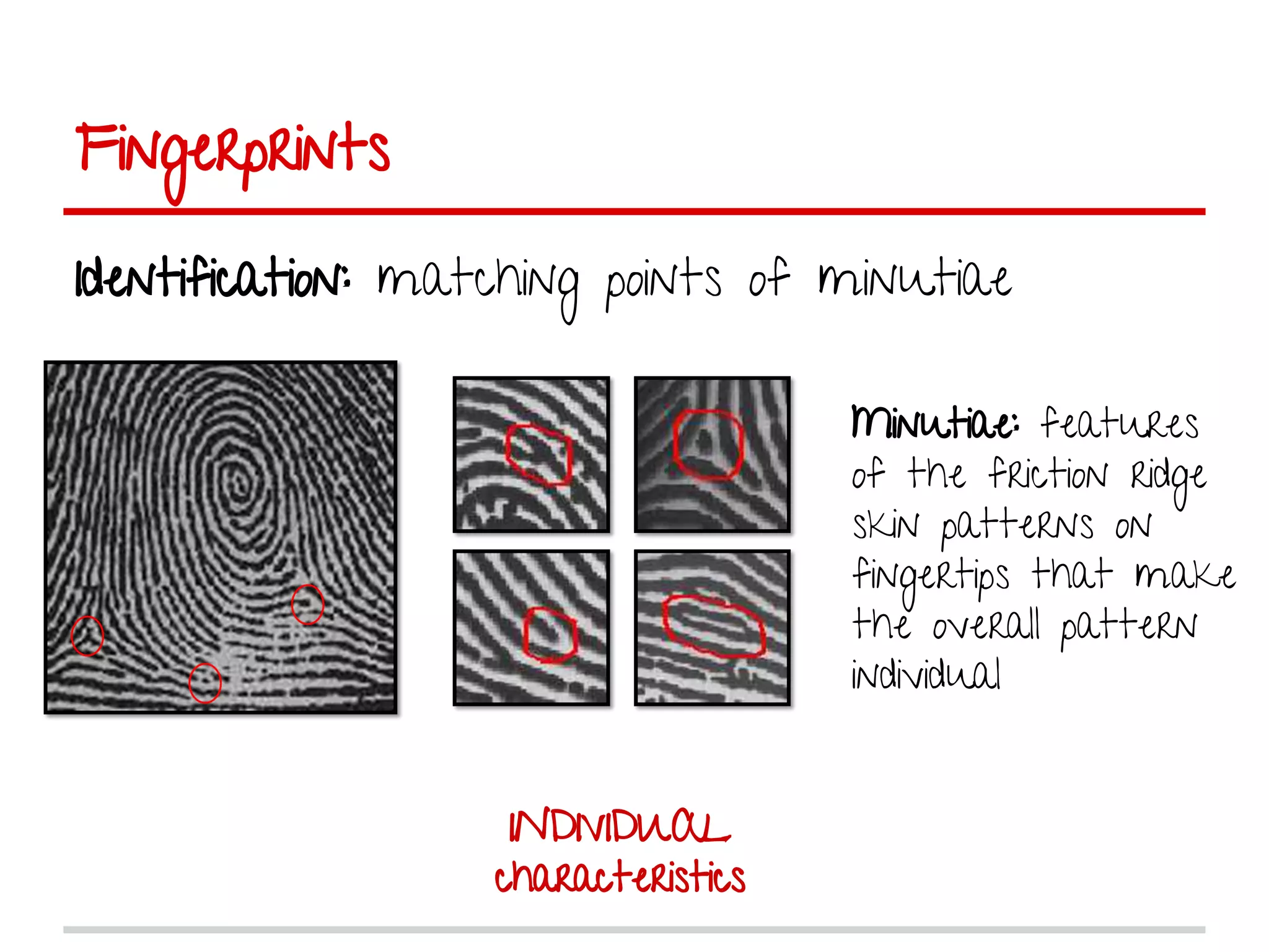 Friction ridge analysis | PDF