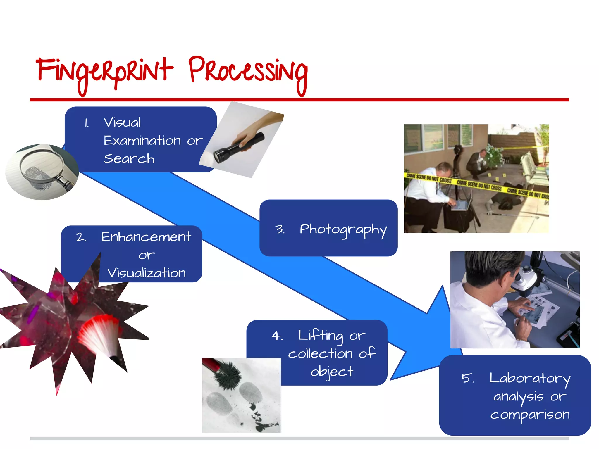 Friction ridge analysis | PDF