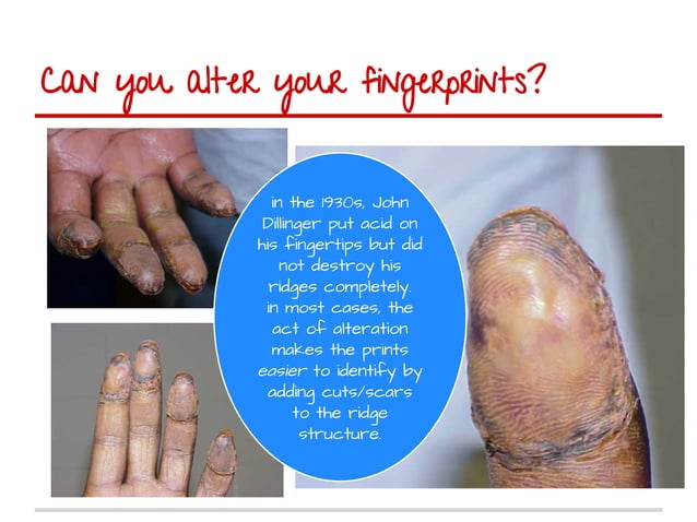 Friction ridge analysis | PDF