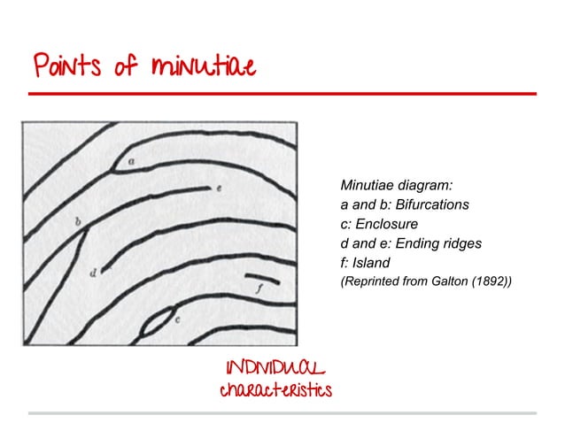 Friction ridge analysis | PDF