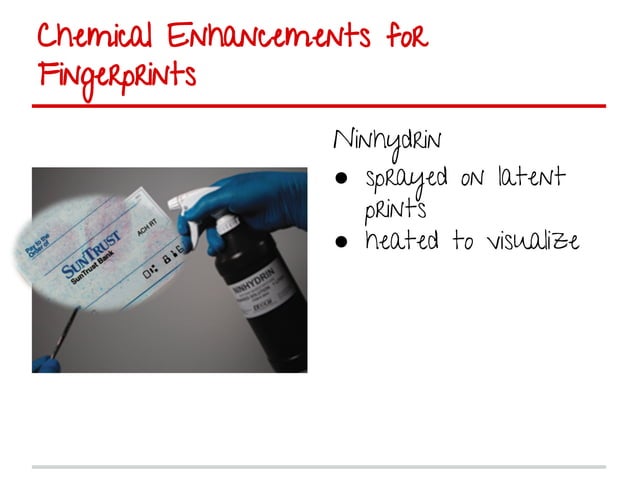 Friction ridge analysis | PDF