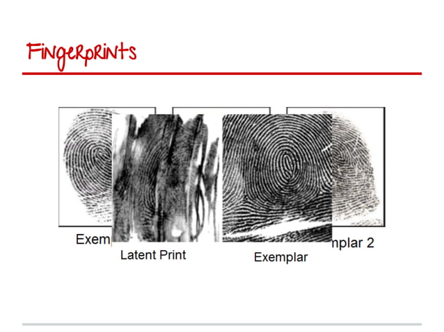 Friction ridge analysis | PDF