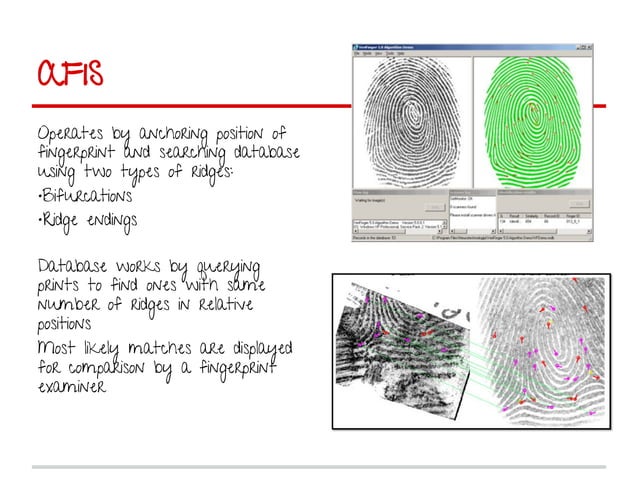 Friction ridge analysis | PDF
