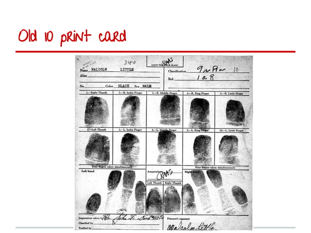 Friction ridge analysis | PDF