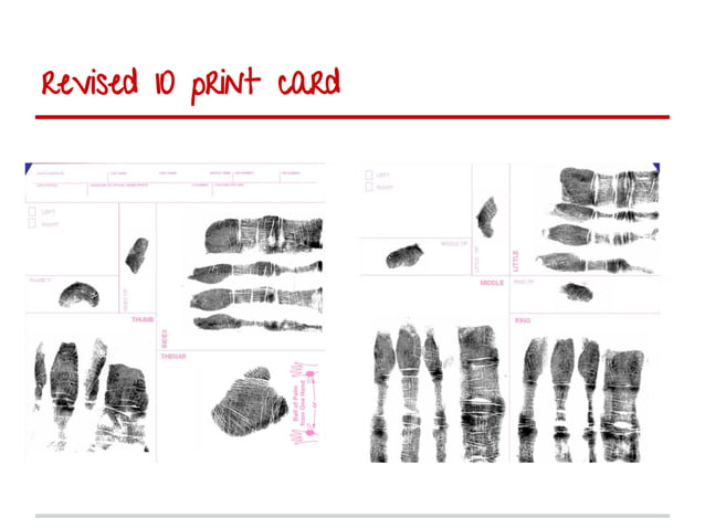 Friction ridge analysis | PDF