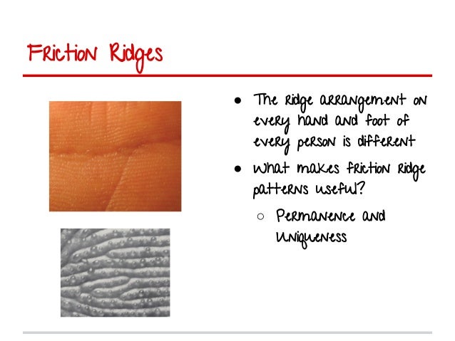 Friction ridge analysis