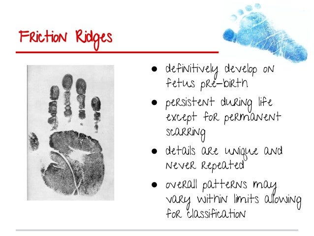 Friction ridge analysis