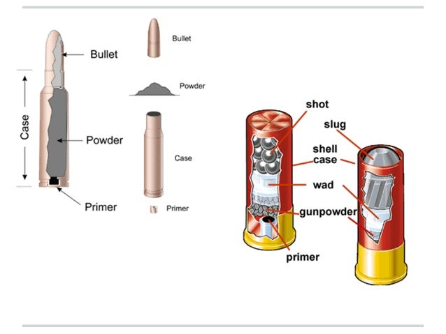Friction ridge analysis