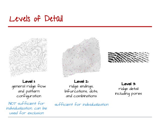 Friction ridge analysis