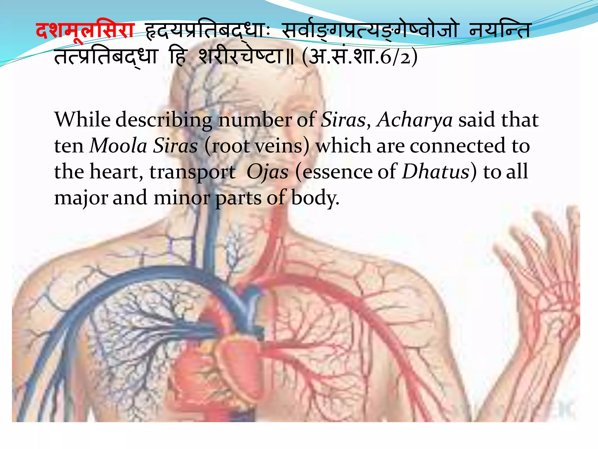 ayurveda-sira dhamni srotas | PPTX
