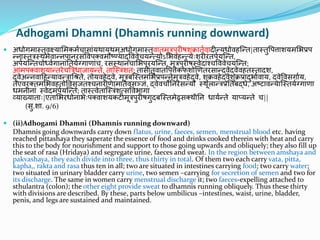 ayurveda-sira dhamni srotas | PPTX