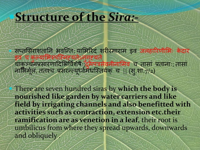 ayurveda-sira dhamni srotas | PPTX | Hinduism | Religion & Spirituality