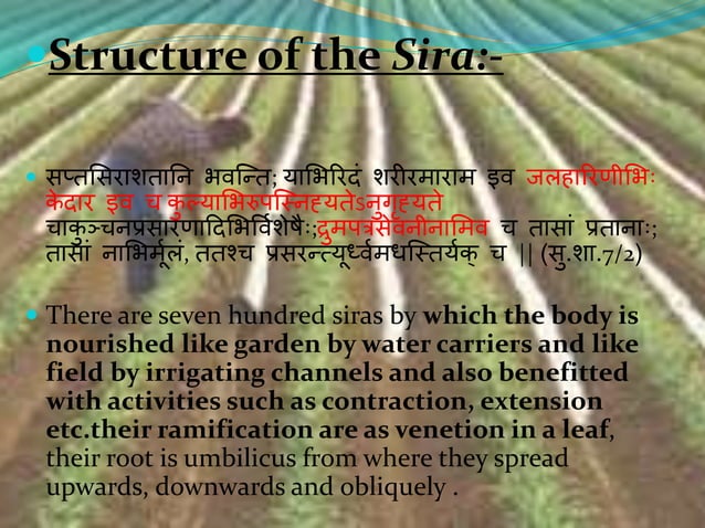 ayurveda-sira dhamni srotas | PPTX | Hinduism | Religion & Spirituality