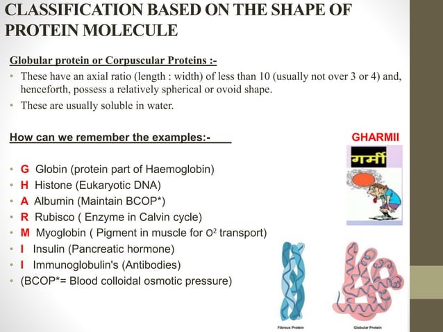 protein classification and it's properties | PPTX | Chemistry | Science