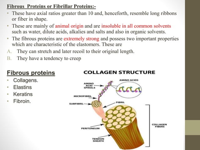 protein classification and it's properties | PPTX | Chemistry | Science