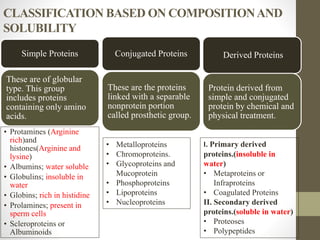 protein classification and it's properties | PPTX