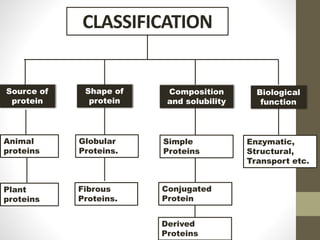 protein classification and it's properties | PPT