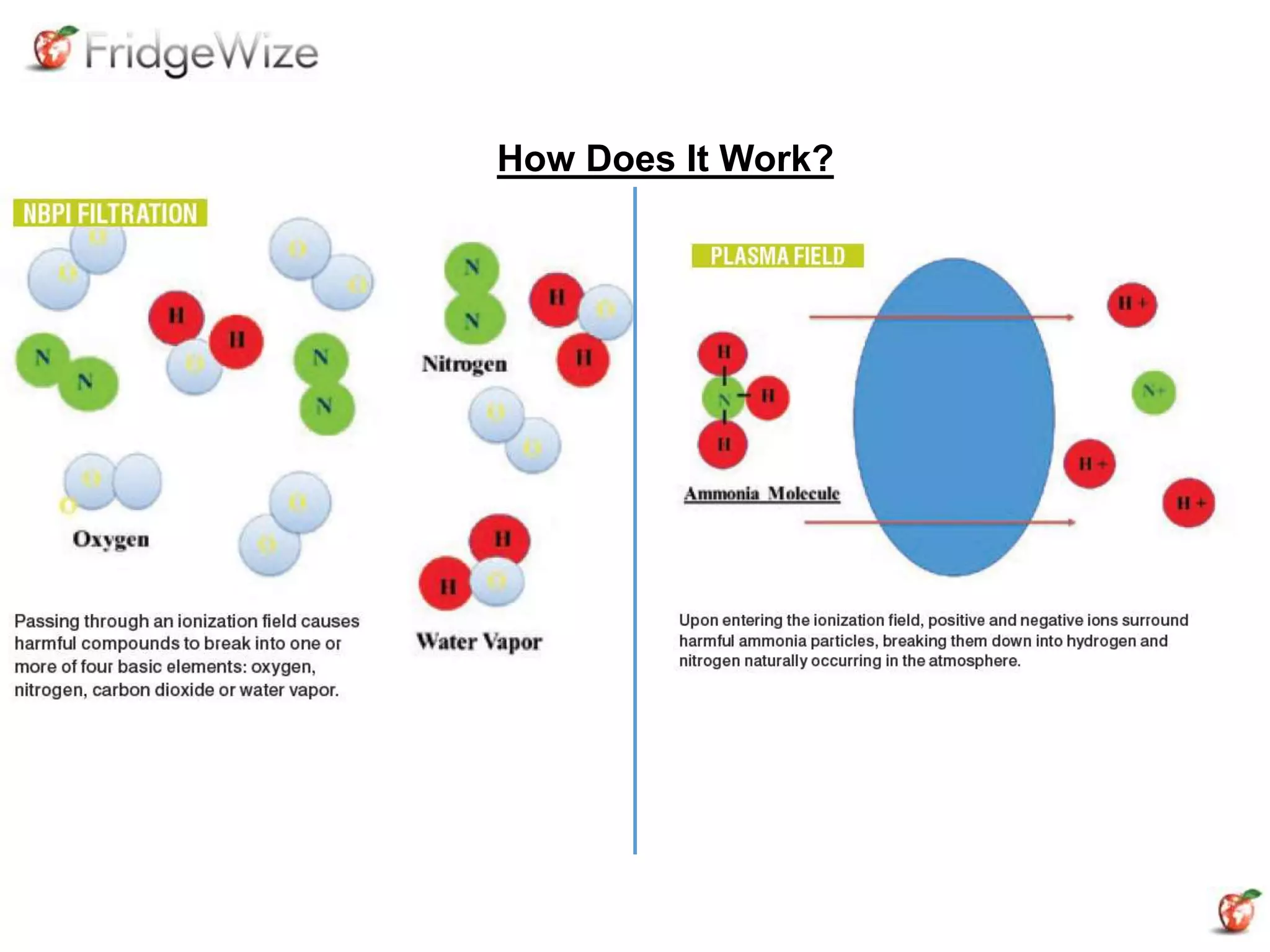 Fridge wize products | PPT