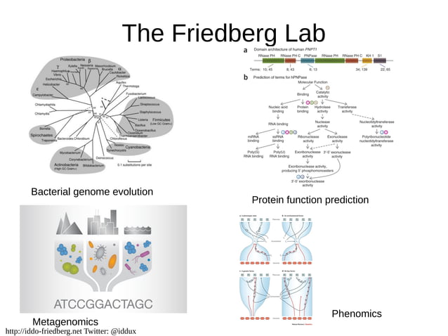 Friedberg lab-overview-grad-students | PDF | Biotech and Biomedical Industry | Industries