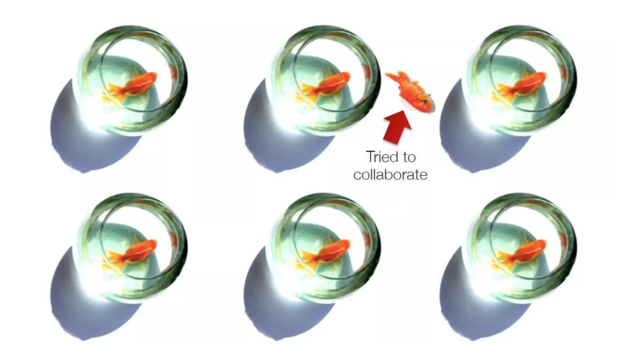 O365 Tools for Building a Digital Workplace | PPT