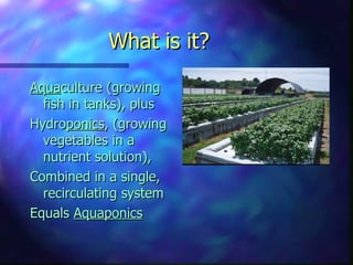 Friendly Aquaponics: the basics of the system | PPT