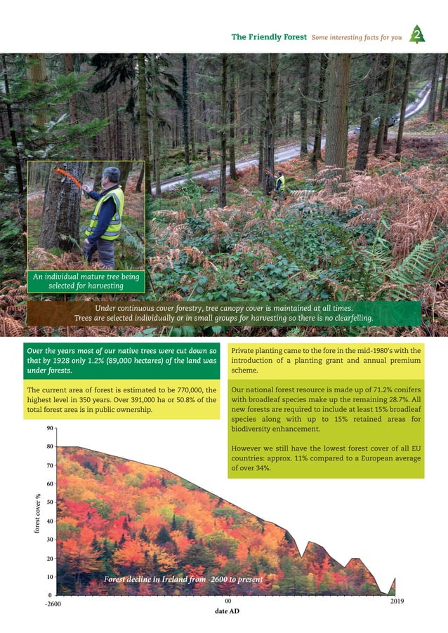 Friendly forest | PDF