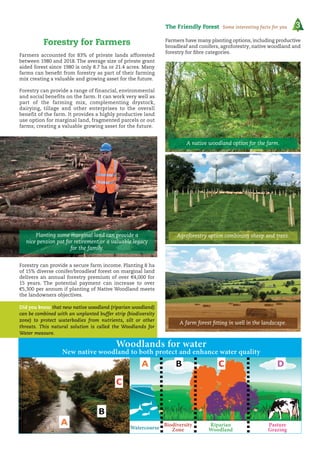 Friendly forest | PDF