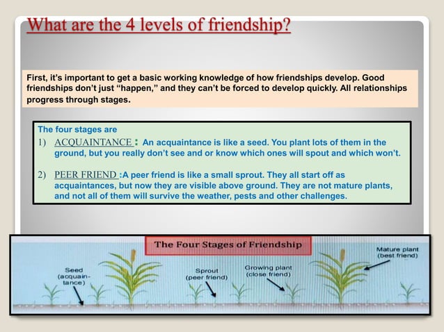 FRIENDSHIP | PPTX | Dating | Family and Relationships