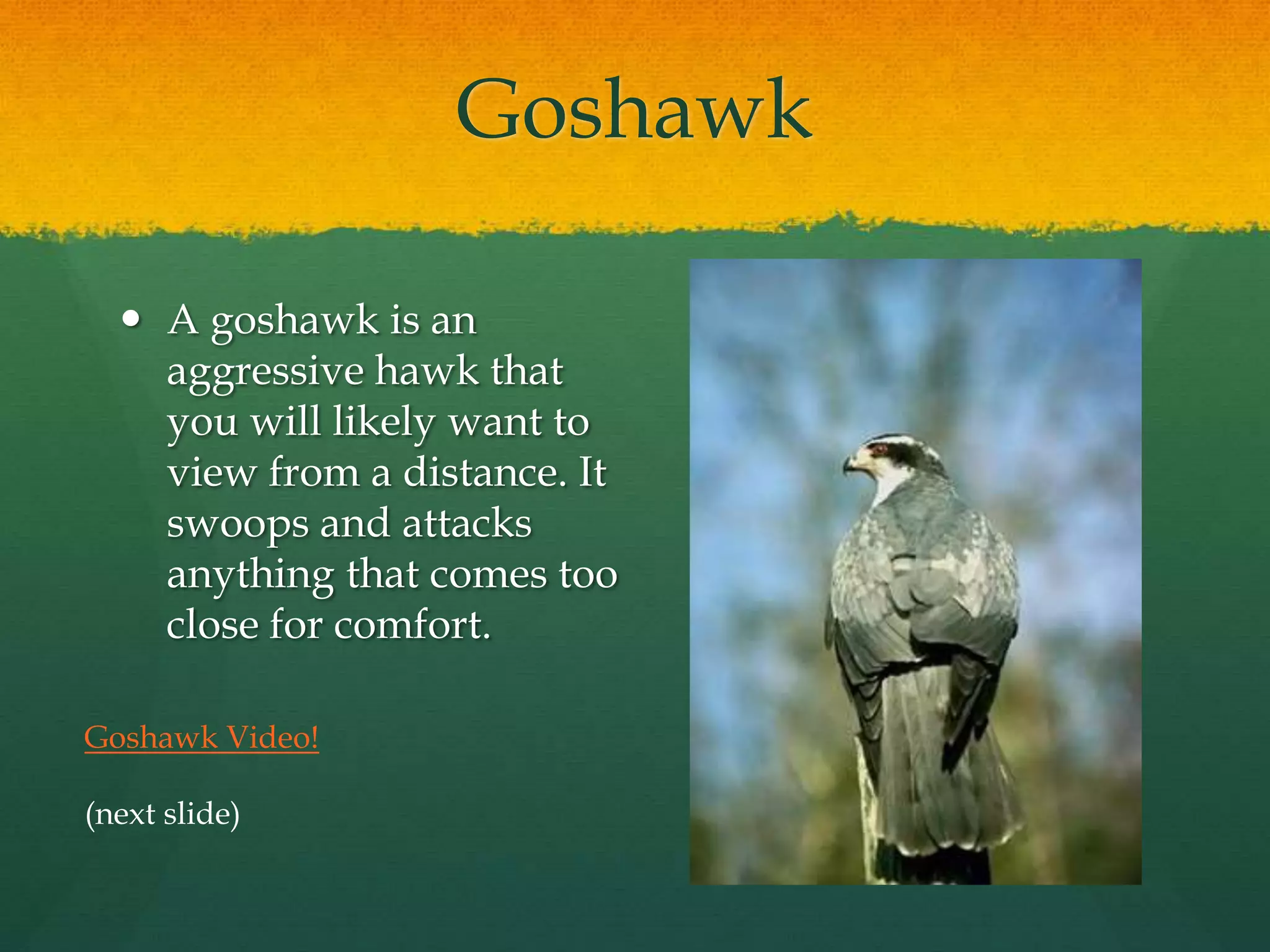 Frightful's mountain | PPTX