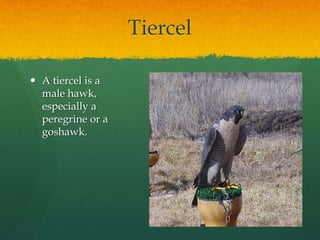 Frightful's mountain | PPTX