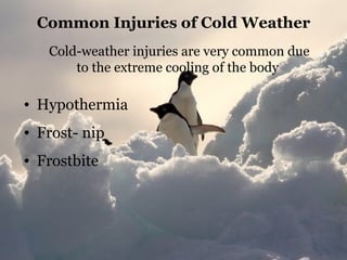 Frigid Poles | PPT | Lung and Respiratory Health | Diseases and Conditions