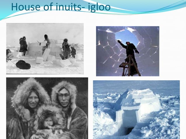 Frigid zone | PPTX | Polar Travel | Travel Locations