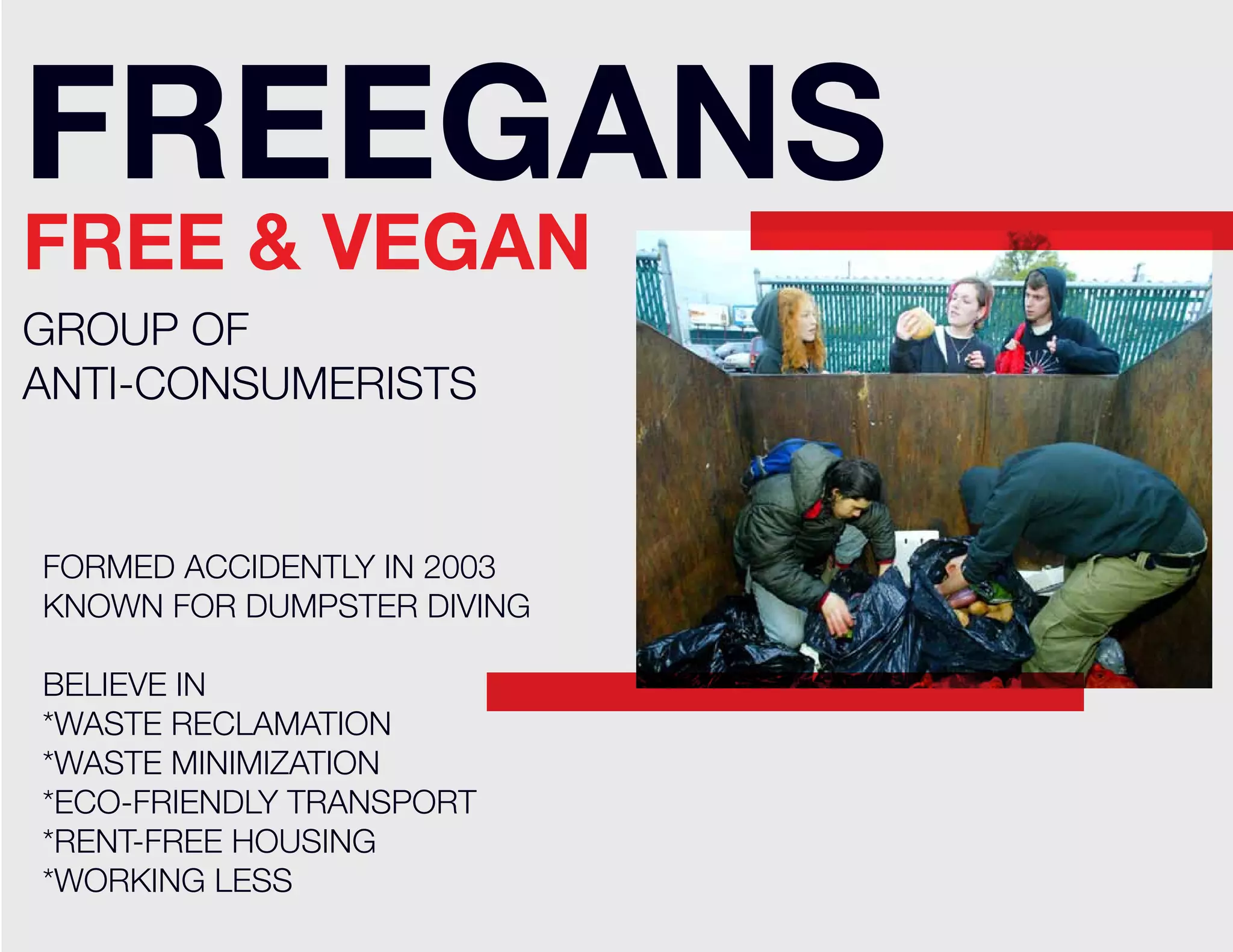 Fringe Groups of the Past Presentation | PPT